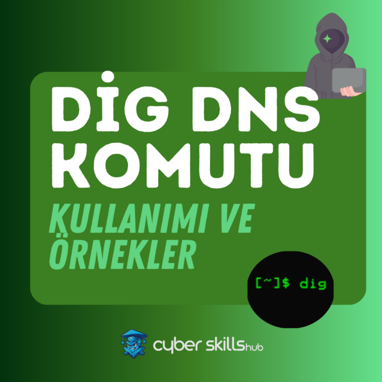 Dig DNS Command: Usage, Examples & Advanced Options